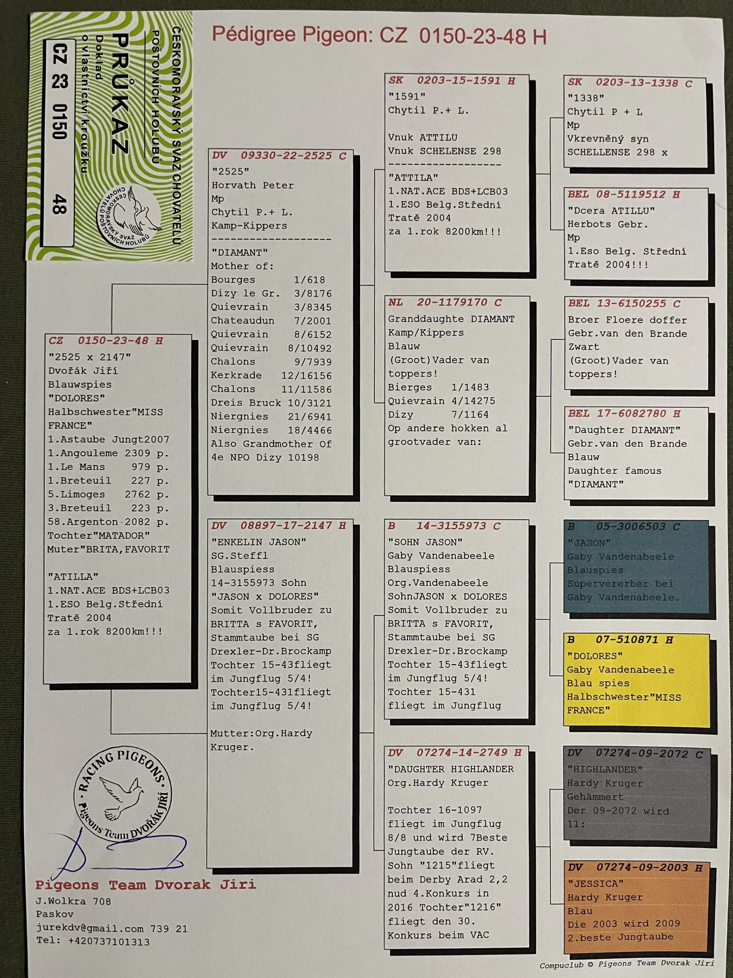 JIRI DVORAK CZ-0150-23-48 - Pyzówka - Aukcje Gołębi