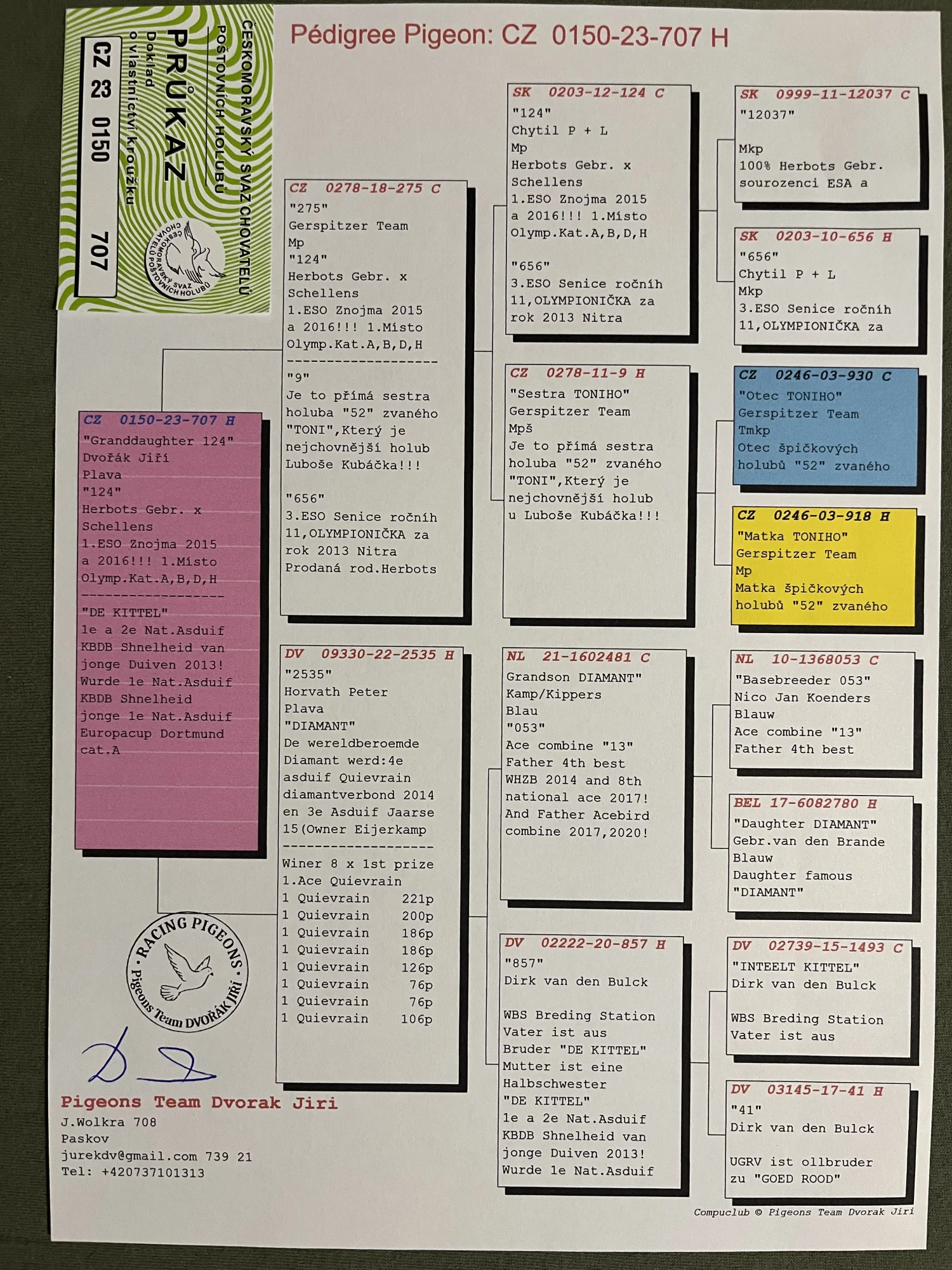 JIRI DVORAK CZ-0150-23-707 - Pyzówka - Aukcje Gołębi